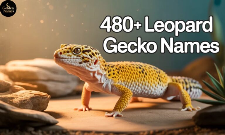 480+ Leopard Gecko Names You Haven’t Seen Before