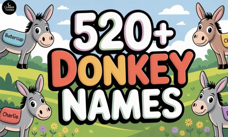 520+ Donkey Names: Adorable Ideas You Can't Resist